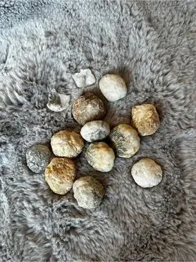 Accents | Natural Quartz Crystal Geode One | Poshmark